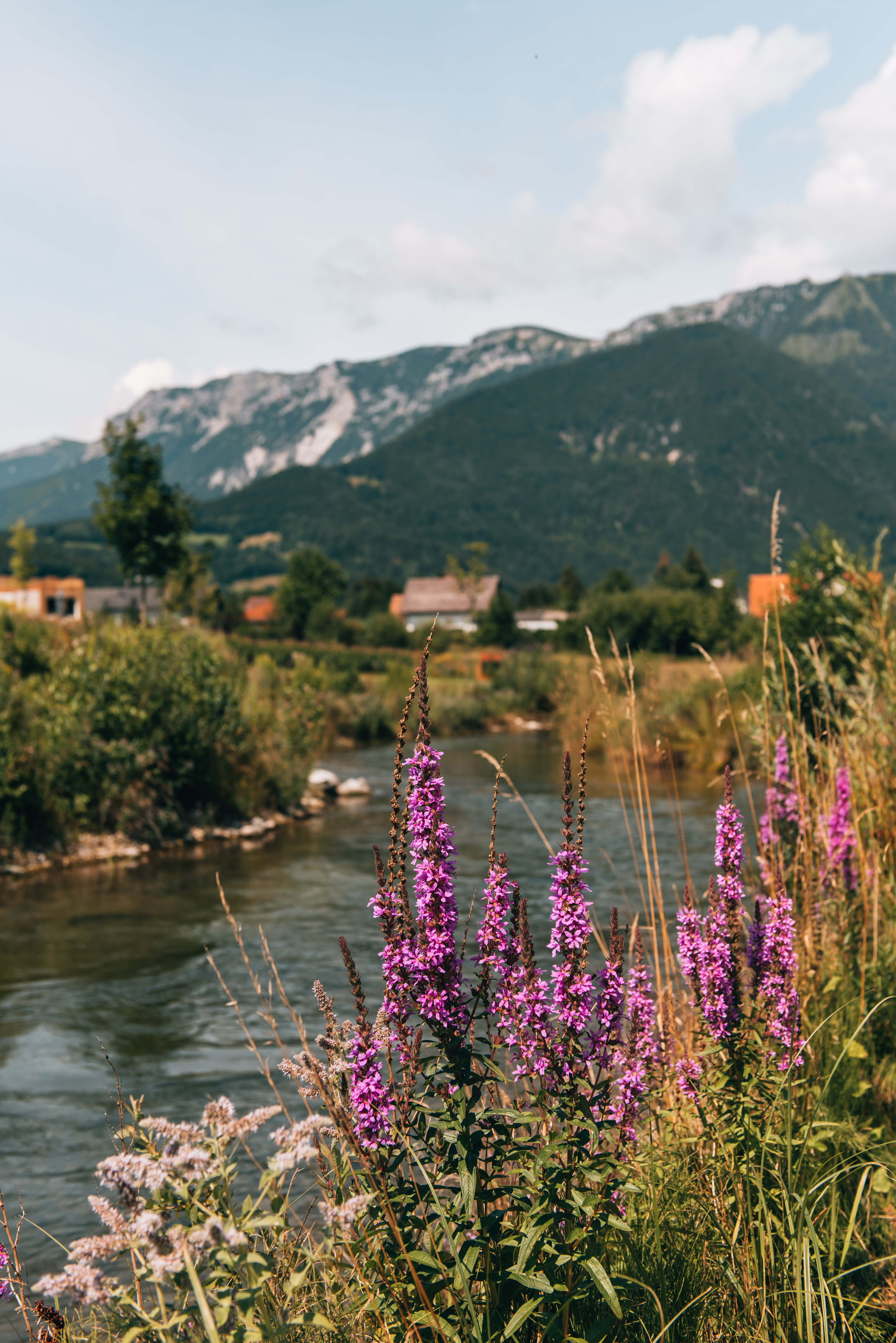 Turistika v Dolnom Rakúsku - Aktívny oddych a príroda